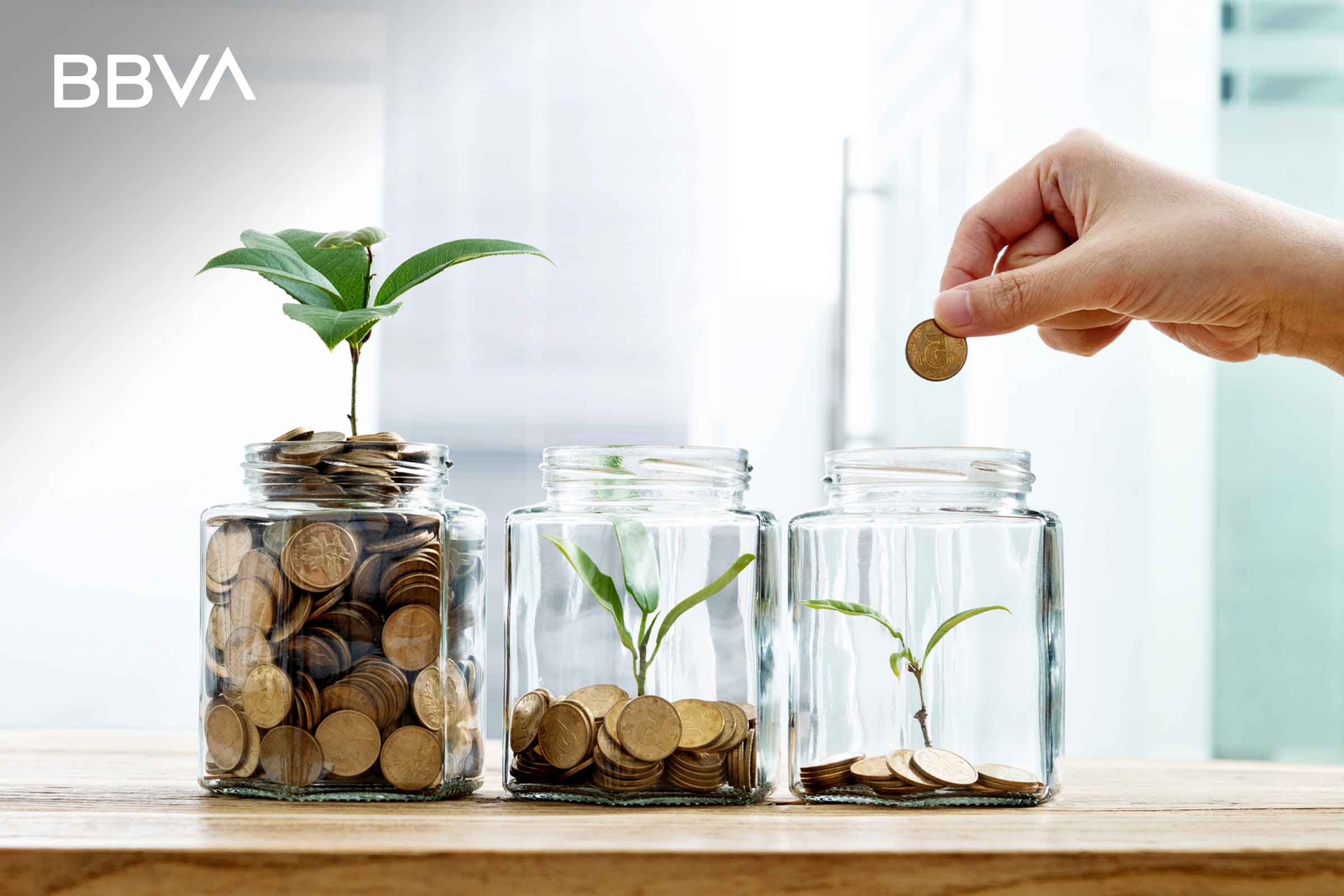 ¿Qué es la TREA y cómo se calcula? | BBVA Perú