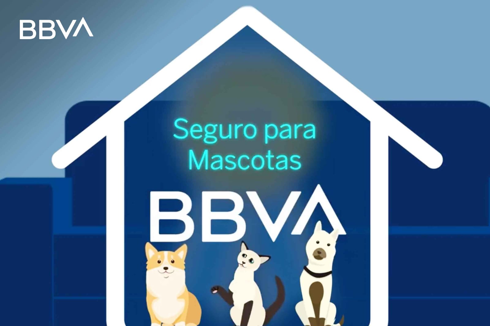 ¿Qué es un seguro de mascotas? | BBVA Perú