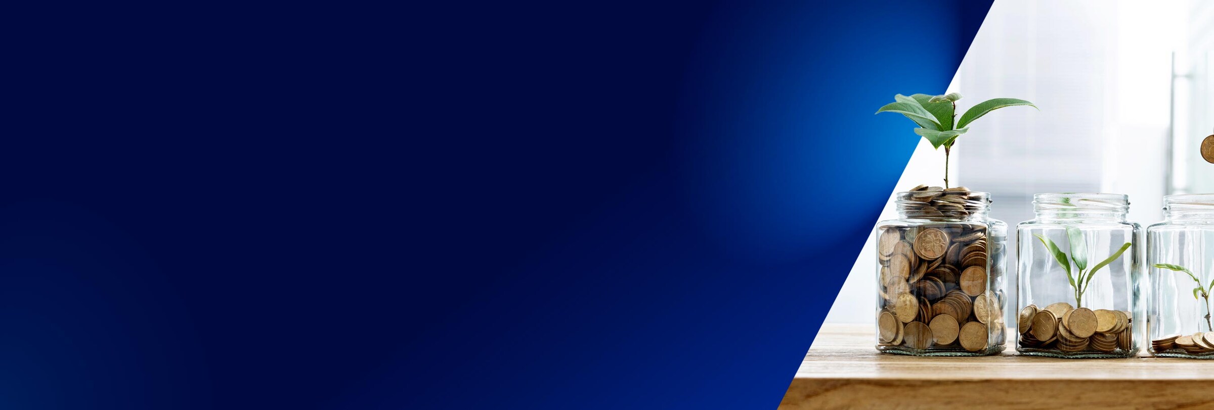 ¿Qué es la TREA y cómo se calcula? | BBVA Perú